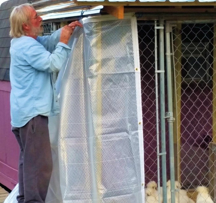Chicken Learning Center – VJP Poultry