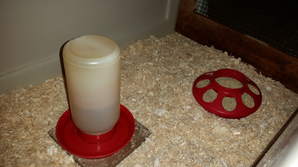 The Perfect Chick Brooder – VJP Poultry