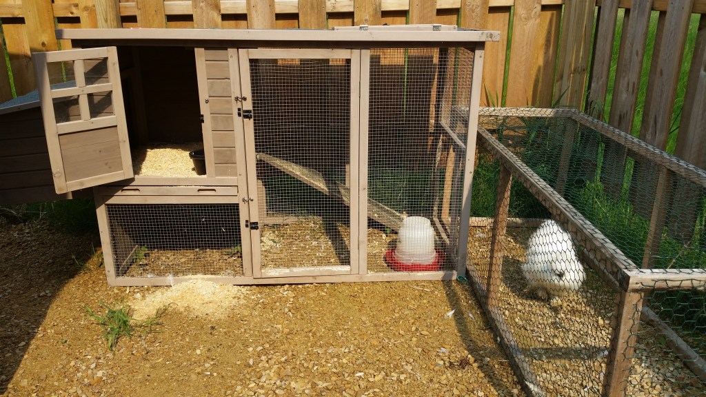 how to build a rooster bachelor pad – VJP Poultry