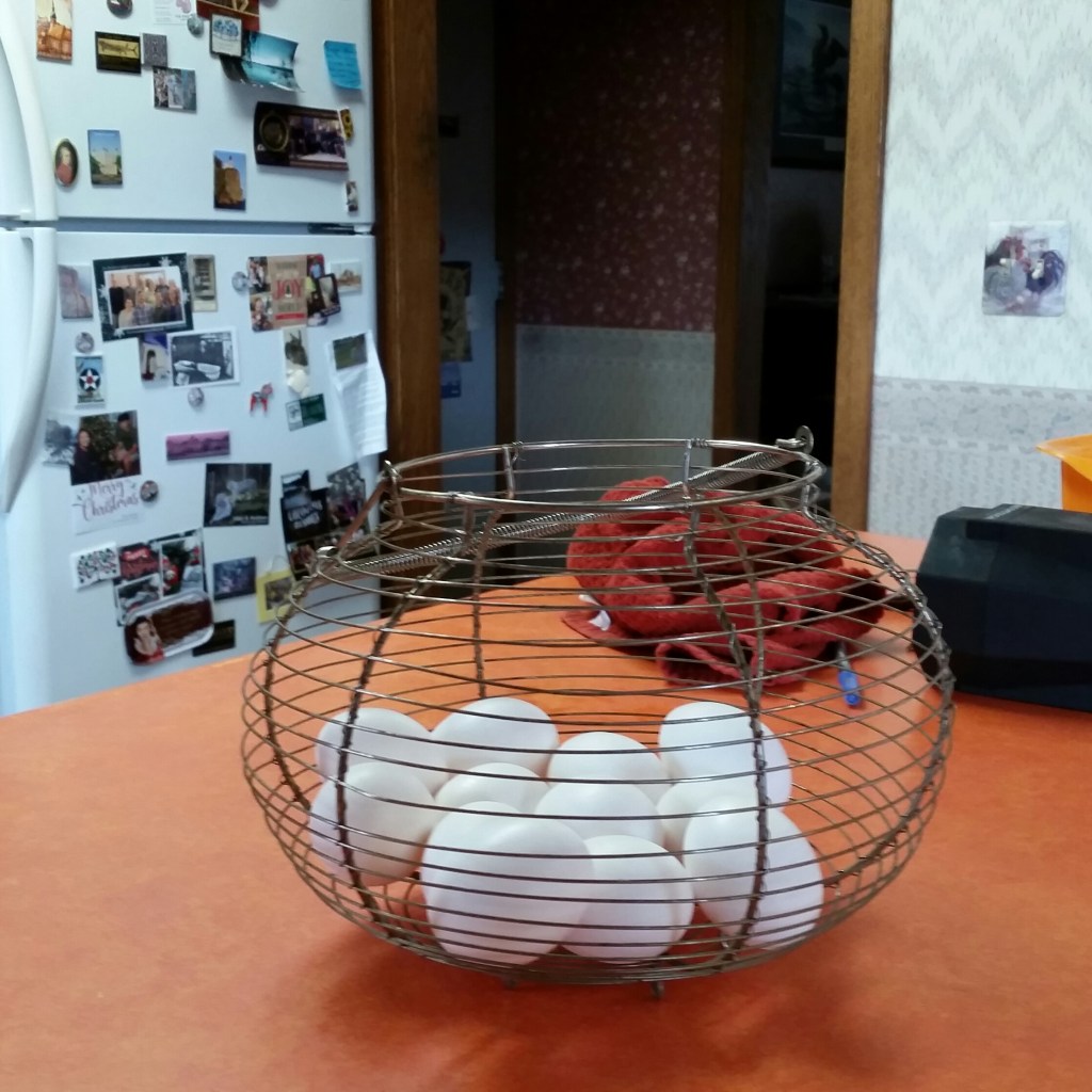 cold storage temperature for fresh eggs – VJP Poultry